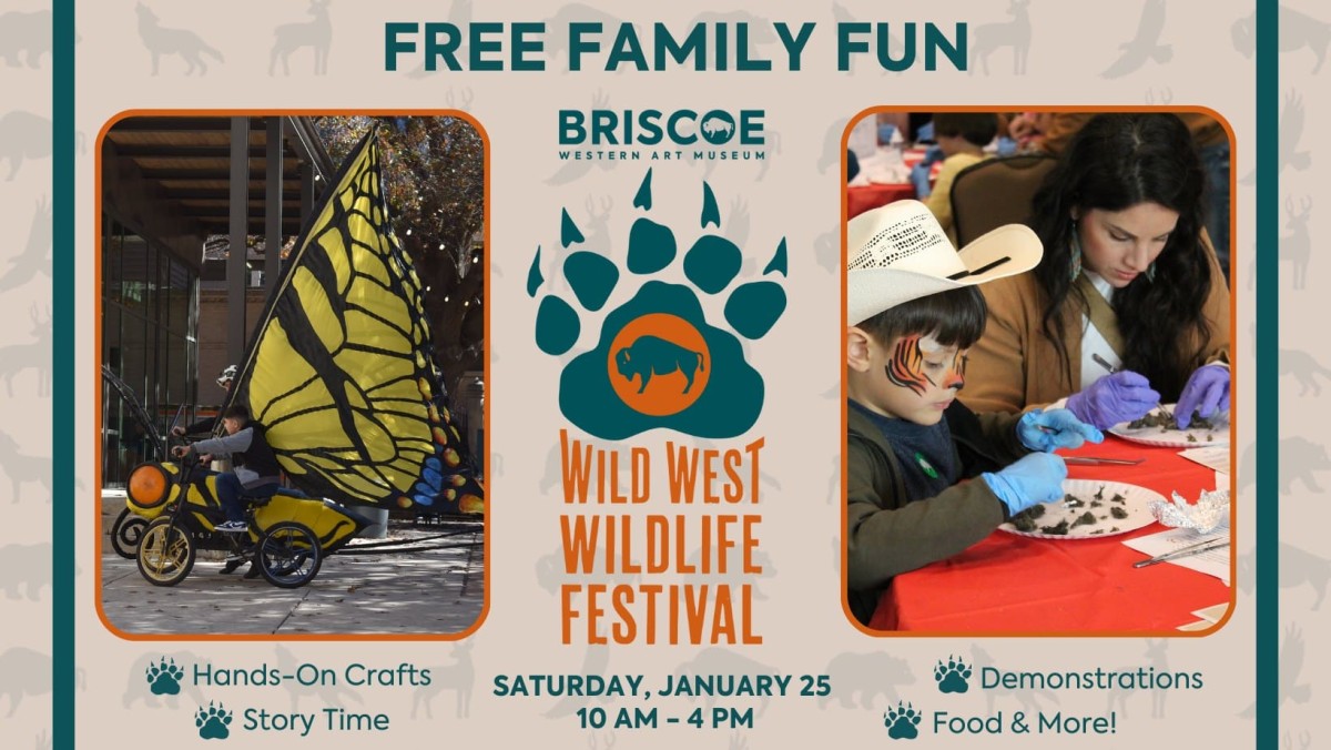 Wild West Wildlife Festival – Deceleration
