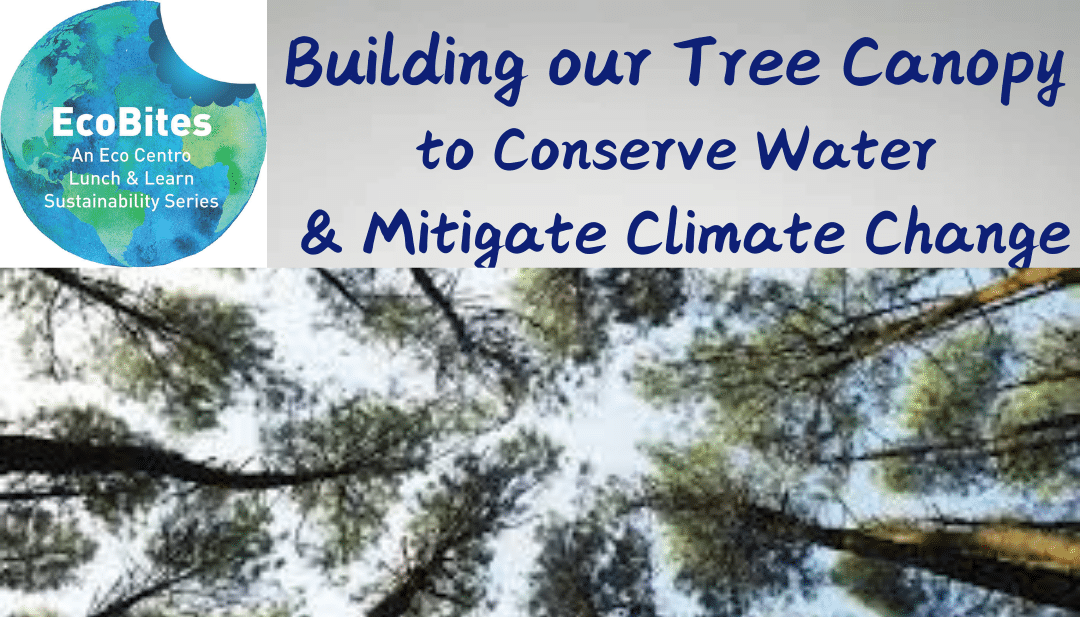 ECO BITES: Building our Tree Canopy to Conserve Water & Impact Climate ...